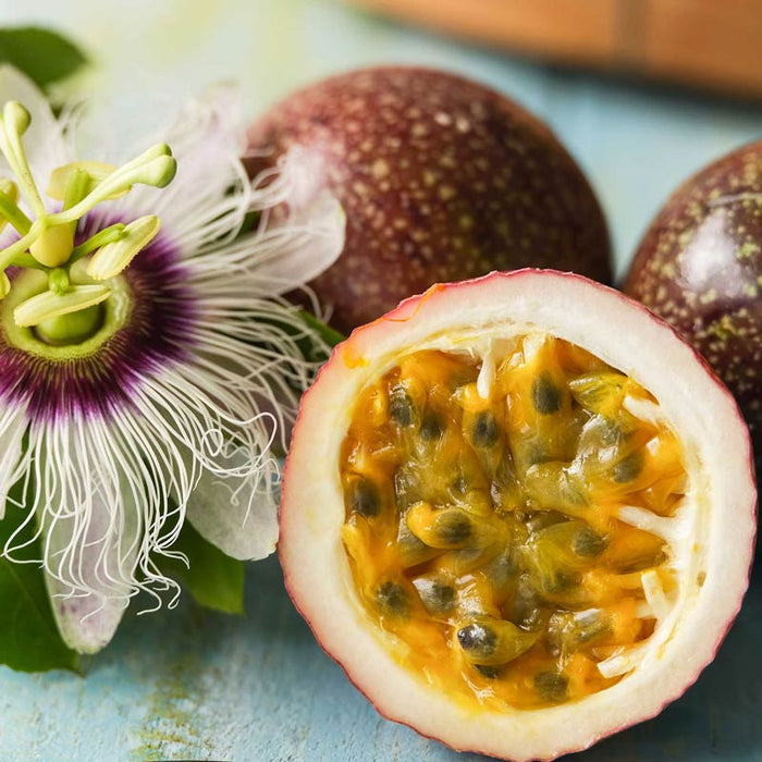 Sirop Fruit de la Passion — Cocktails et boissons – Mathieu Teisseire